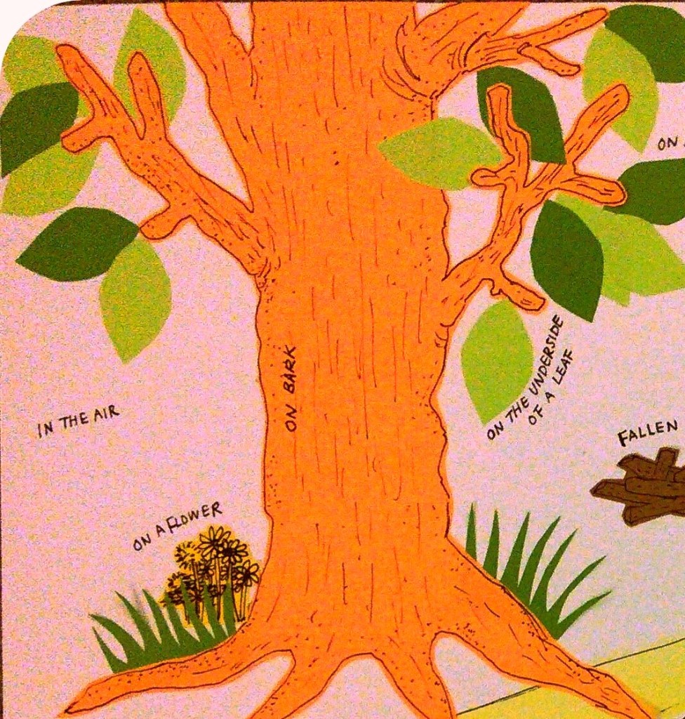 minibeast map tree « Cosmic Meow